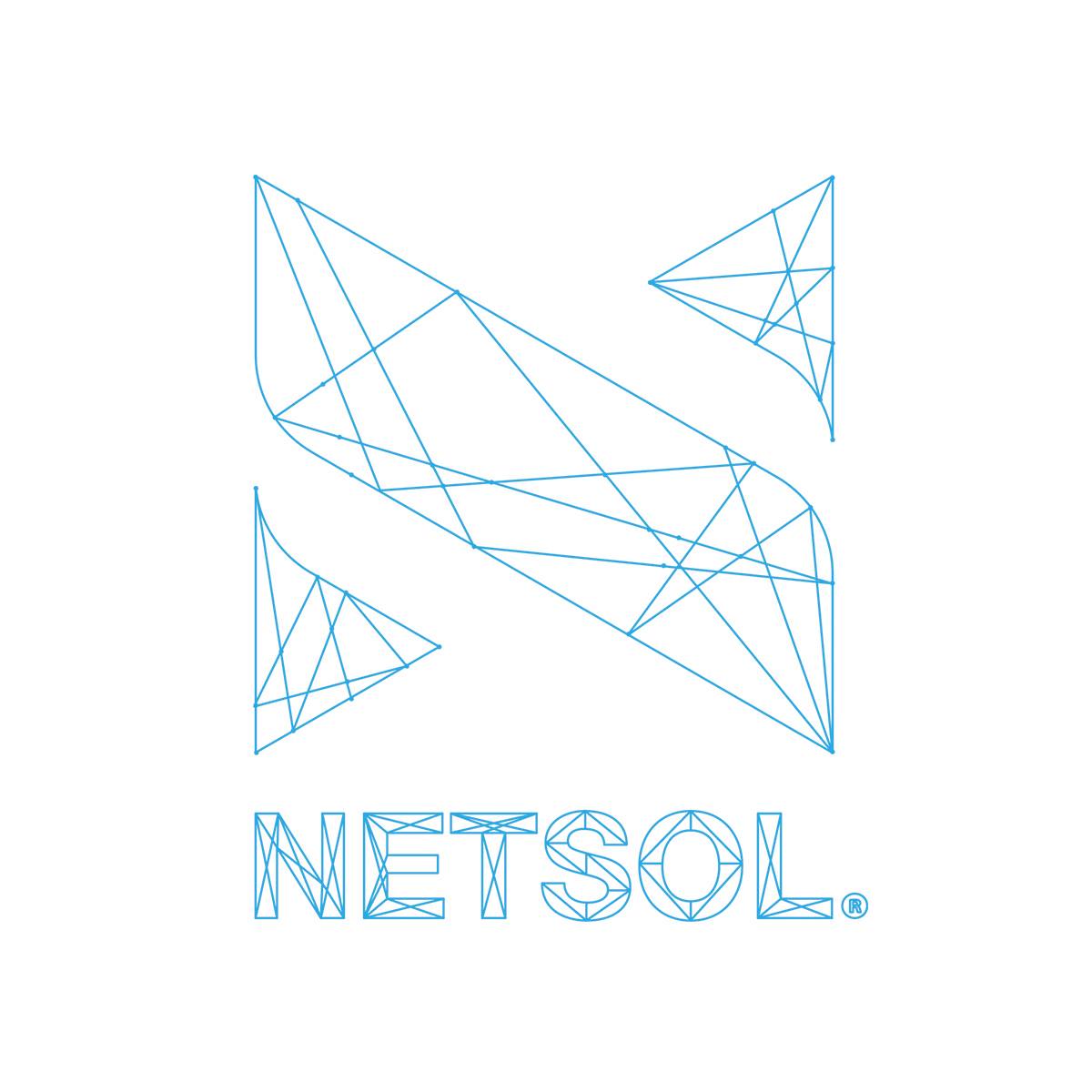 NetSol Technologies - SEARCH IT